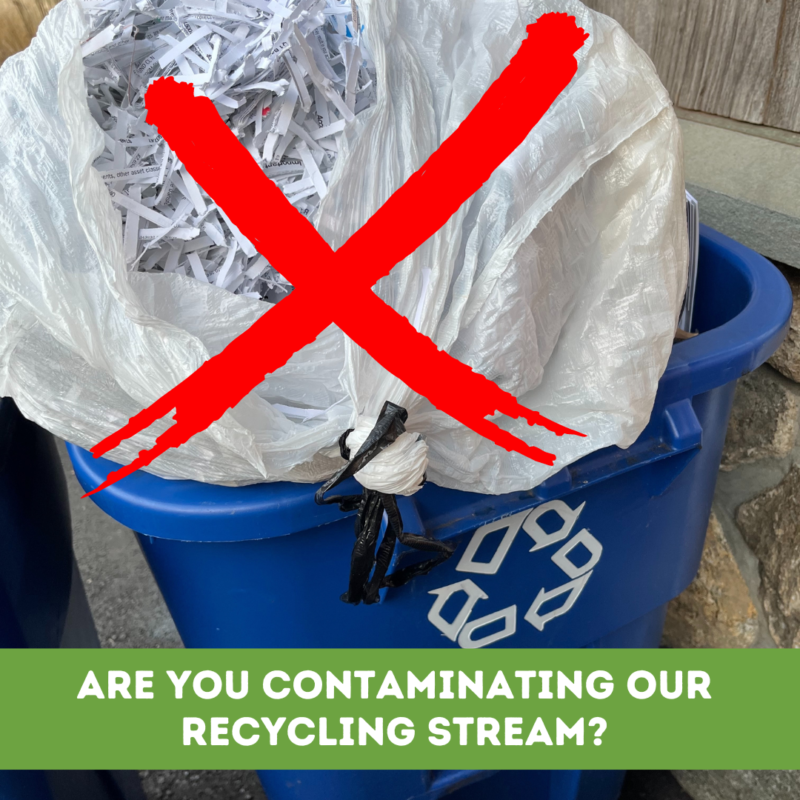 Single Stream Recycling, Contamination, and “How to Recycle Right ...