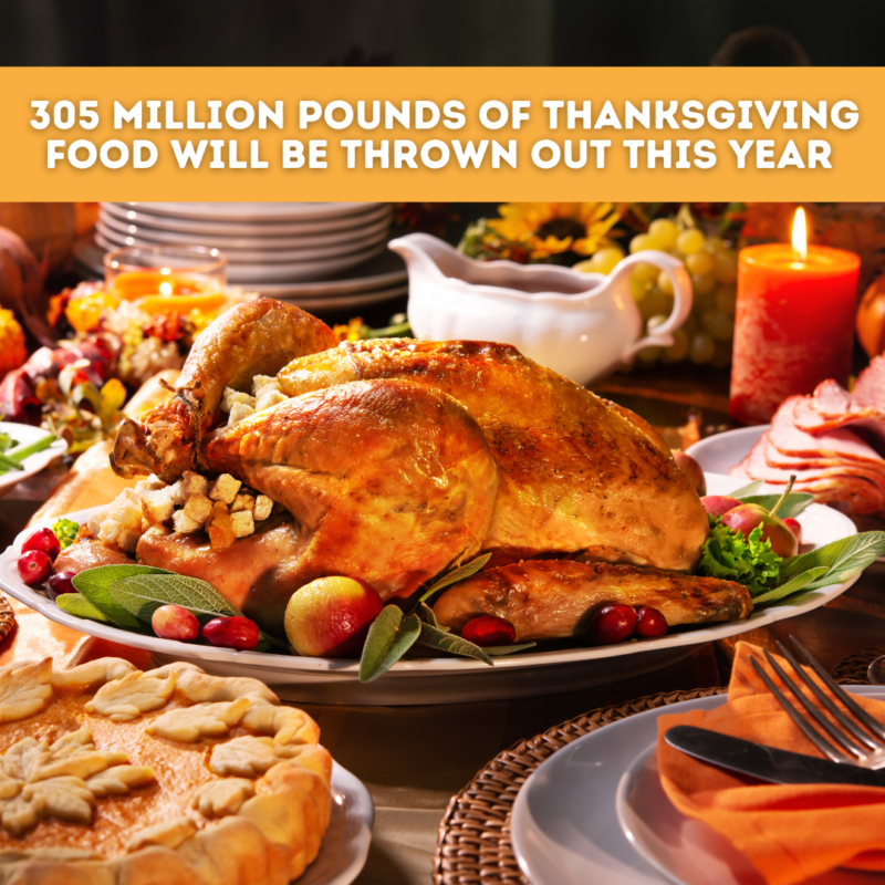 Rethink the Feast: How to Reduce Food Waste on Thanksgiving ...